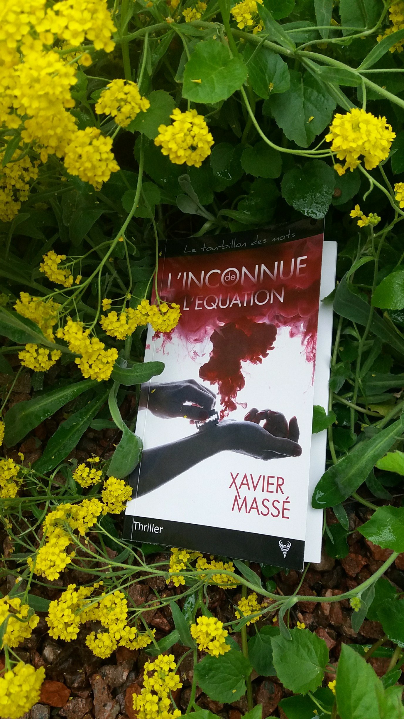 « L’inconnue de l’équation » de Xavier MASSE – Sonia boulimique des ...