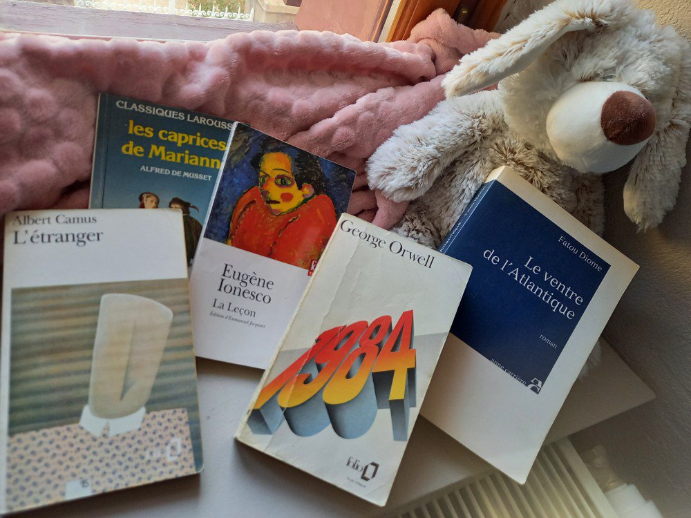 J’ai testé La Bourse aux Livres – Sonia boulimique des livres – Blog ...